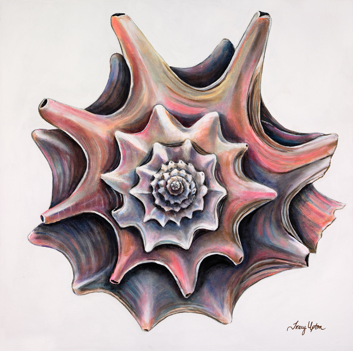 Bahama Queen Conch Blue 20" x 20"– Tracy Upton