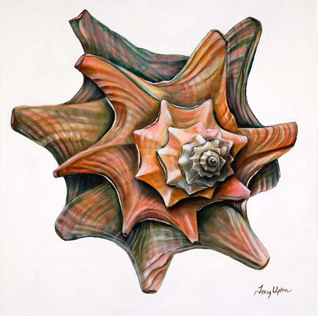 Bahama Queen Conch Green 20" x 20" – Tracy Upton
