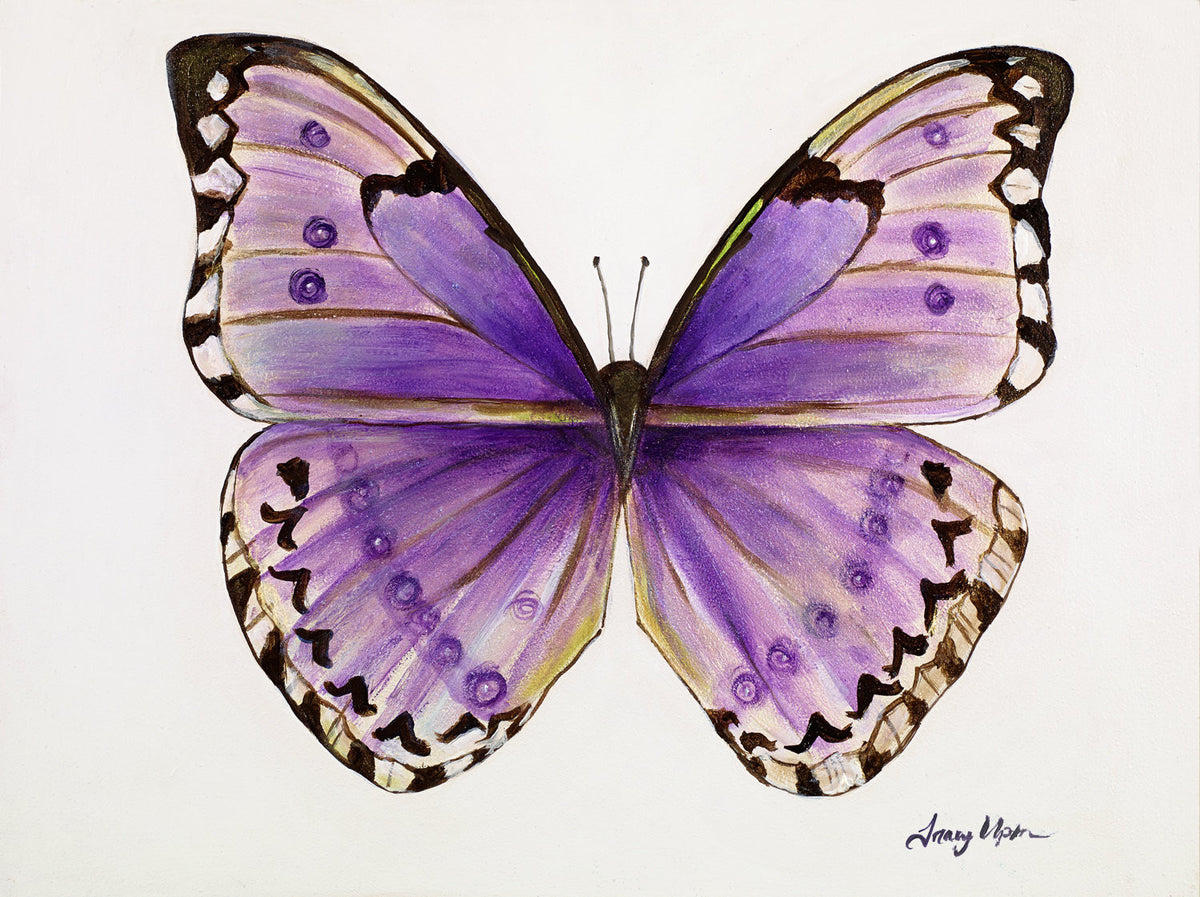 African Violet Morpho 12” x 18” SOLD– Tracy Upton