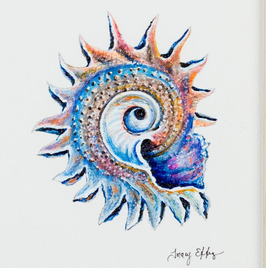 Smaller Works From The Sea– Tracy Upton