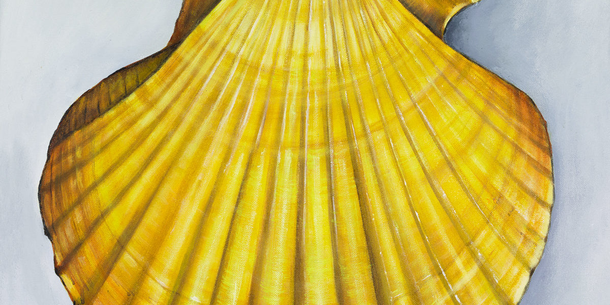 yellow seashell logo